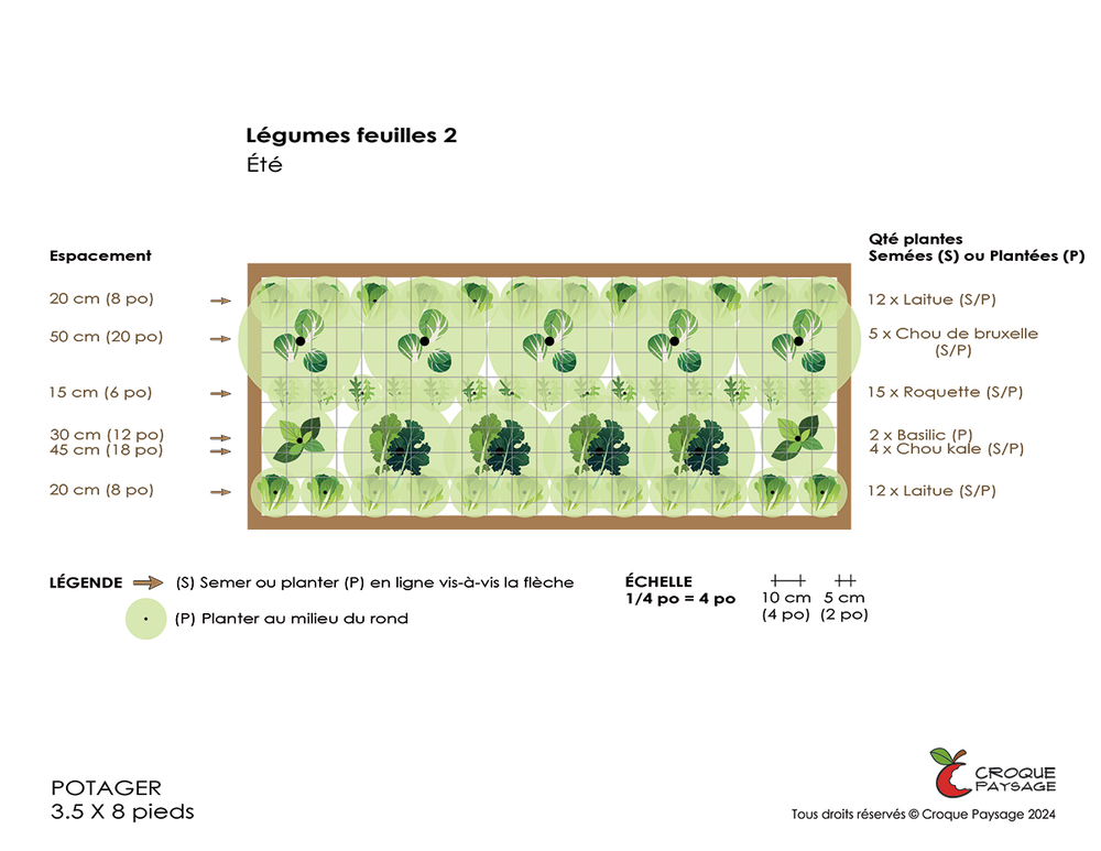 Vip exemple plans potager
