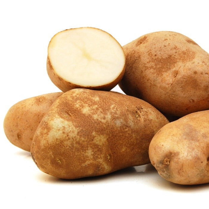 Pommes de terre/Patates Rickey Russet pour le jardin - sac 2lbs