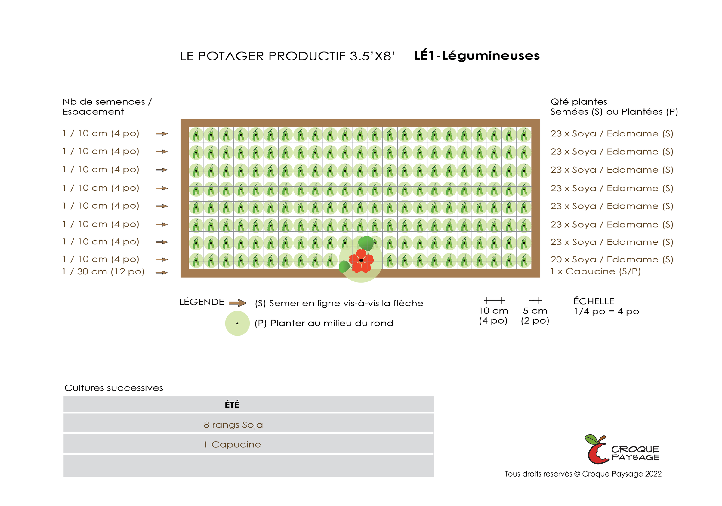 Exemple : Organisation végétale d'un potager productif