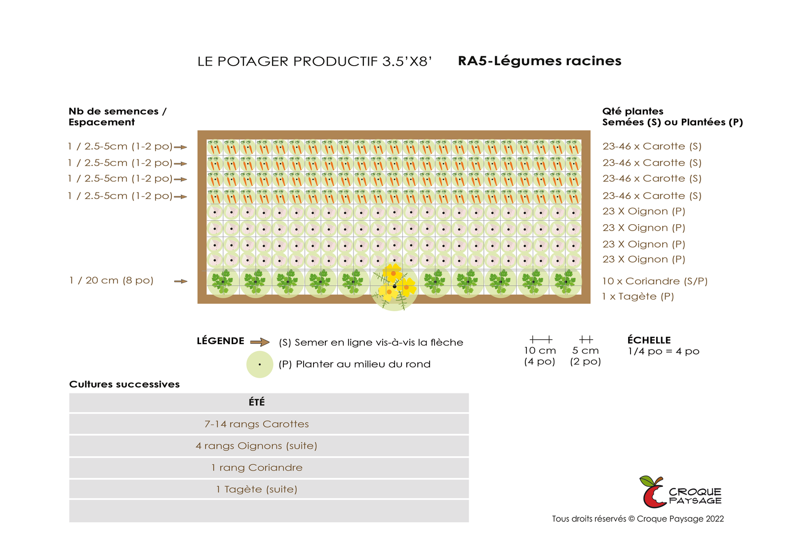 Exemple : Organisation végétale d'un potager productif