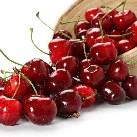 Arbuste à fruits en pot - Cerisier nain Sk Romeo en pot - Croque ...