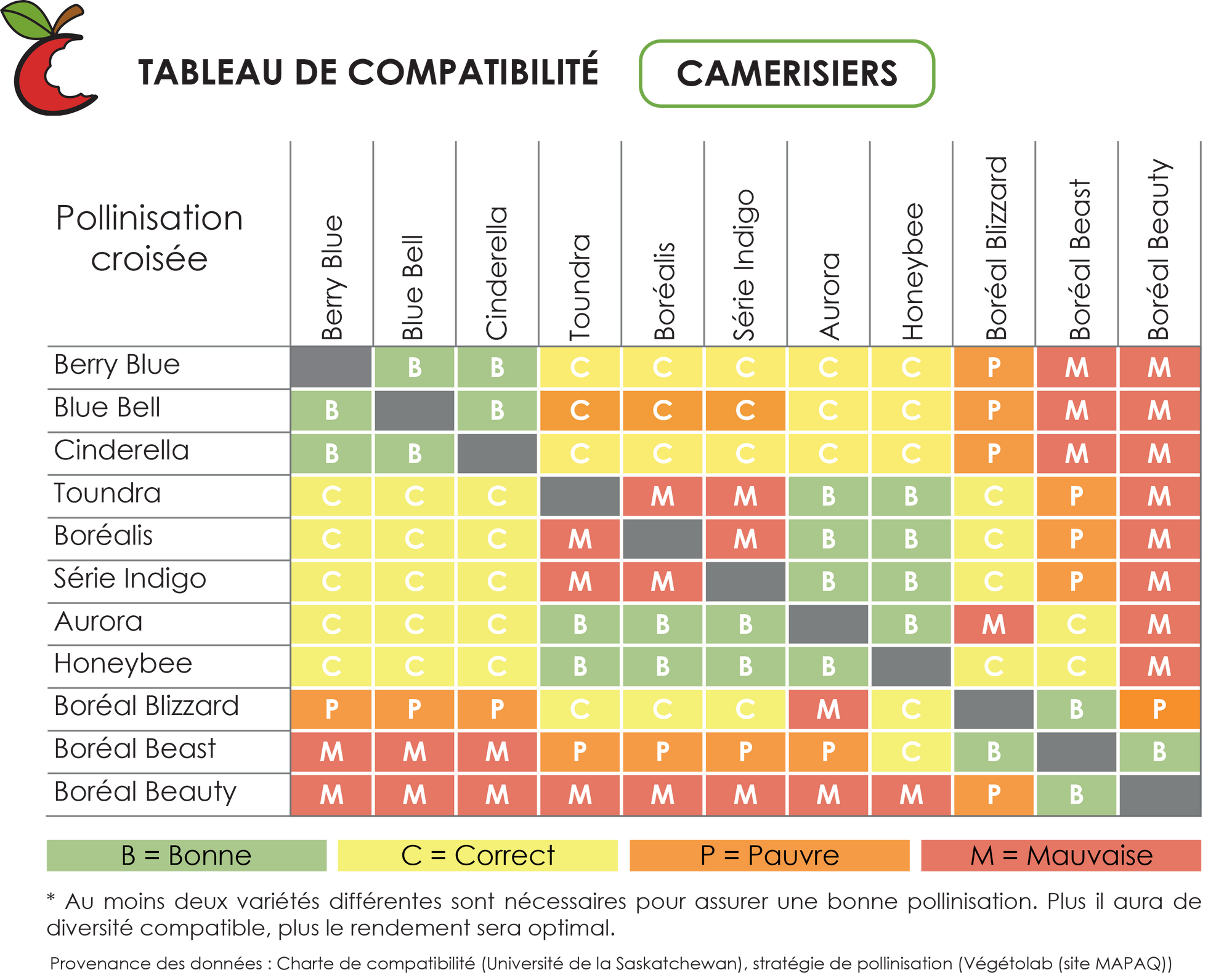 Arbuste à fruits en pot - Camerisier Indigo Gem en pot - Croque Paysage ...