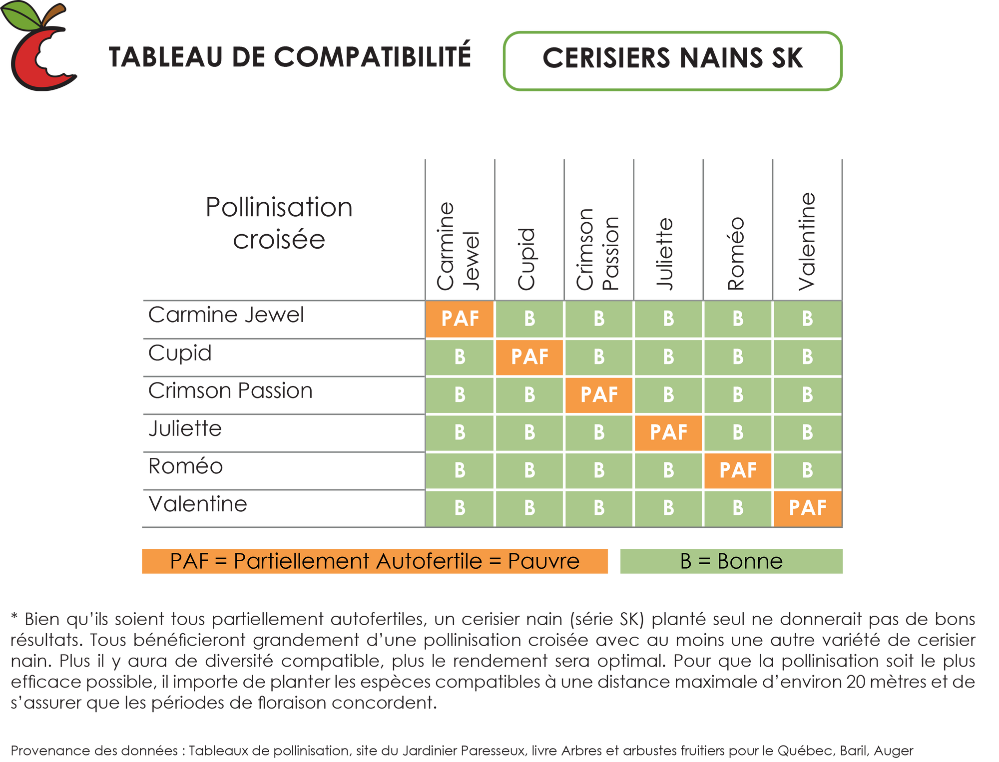 Arbuste à fruits en pot - Cerisier nain Sk Carmine Jewel en pot ...
