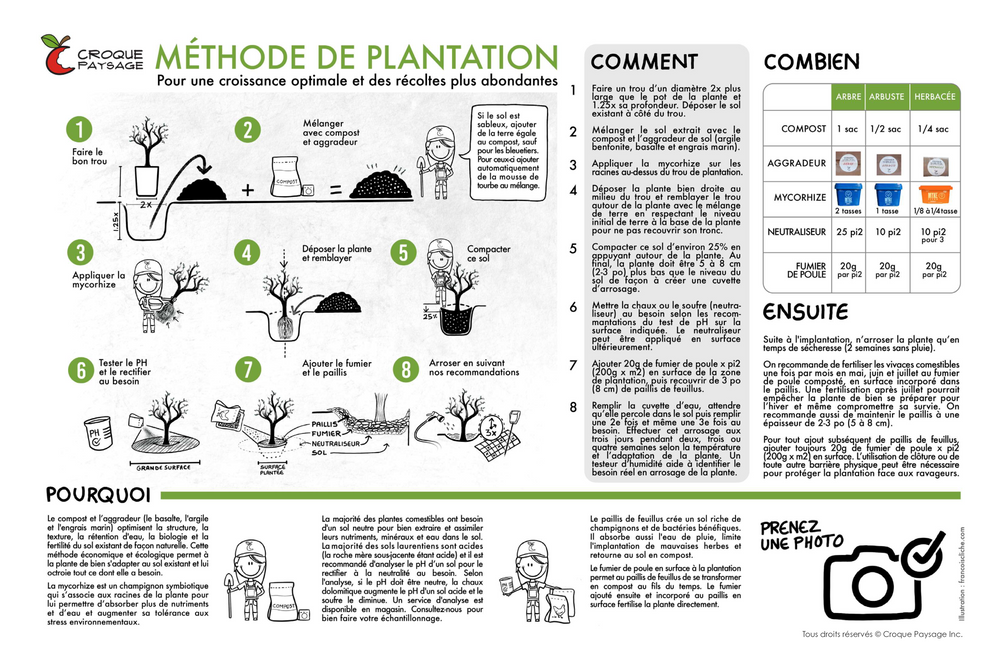 Méthode de plantation