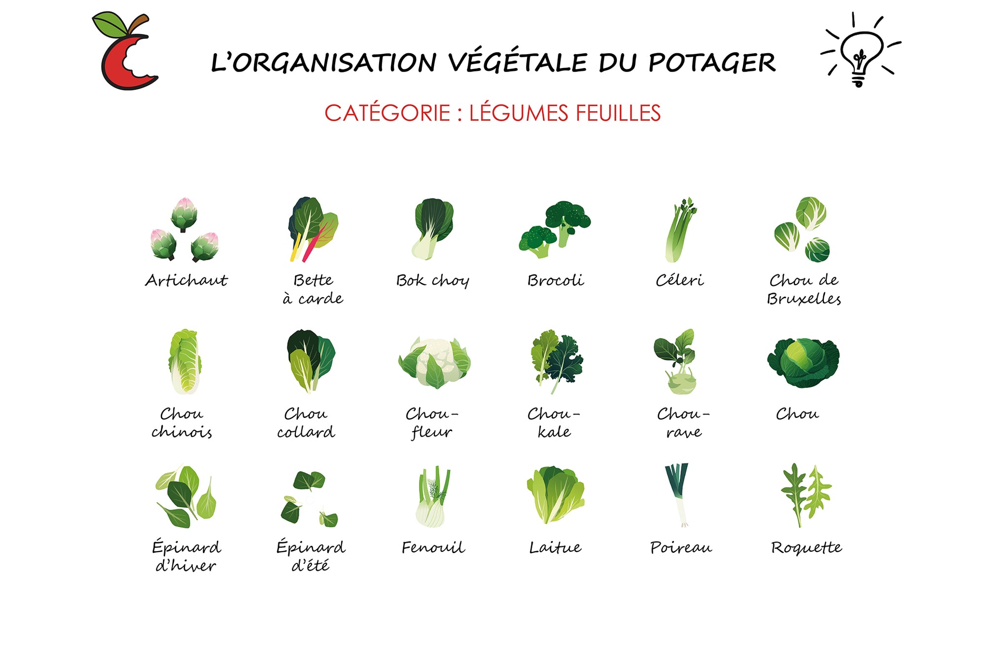 Les légumes feuilles