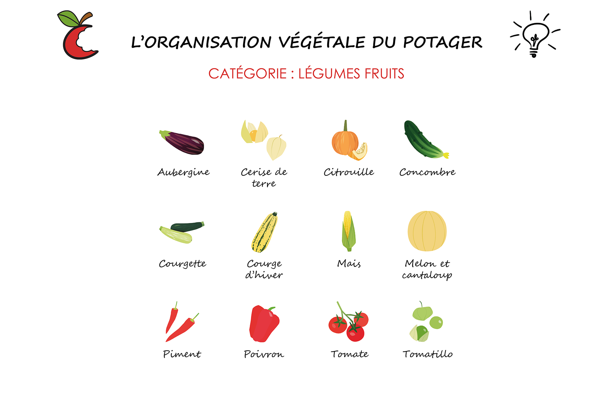 Les légumes fruits